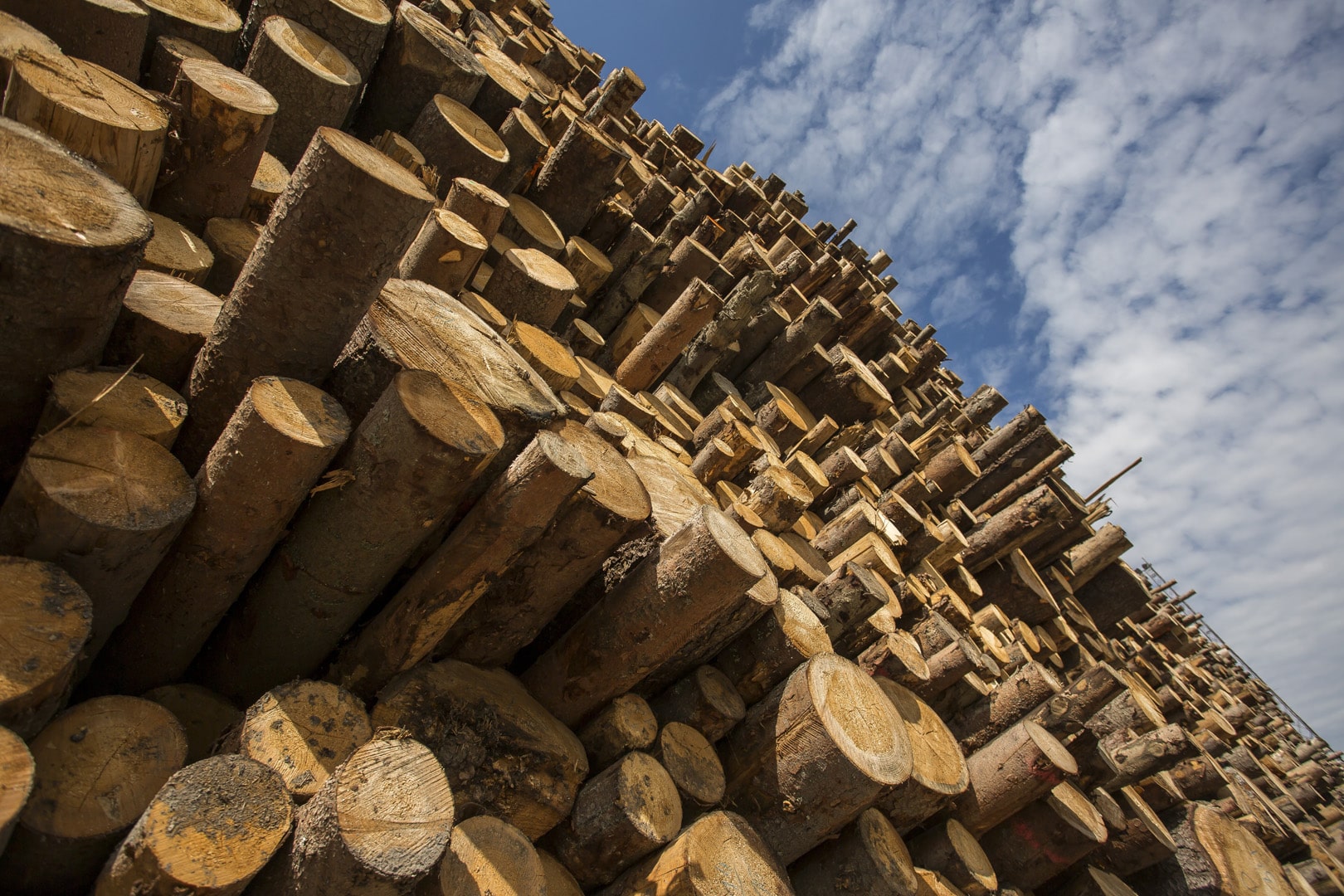 Úvod | Lenzing Biocel Paskov a.s.